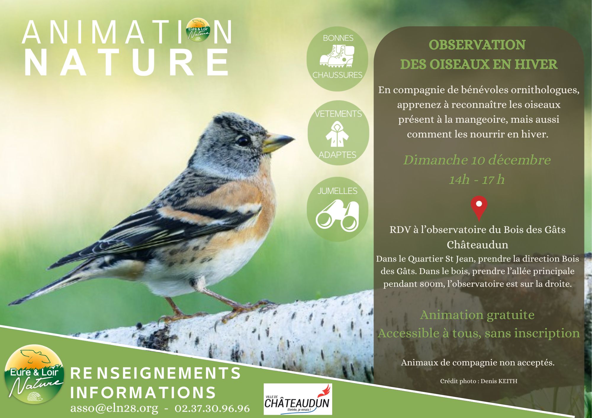 Observation des oiseaux en hiver – Eure-et-Loir Nature