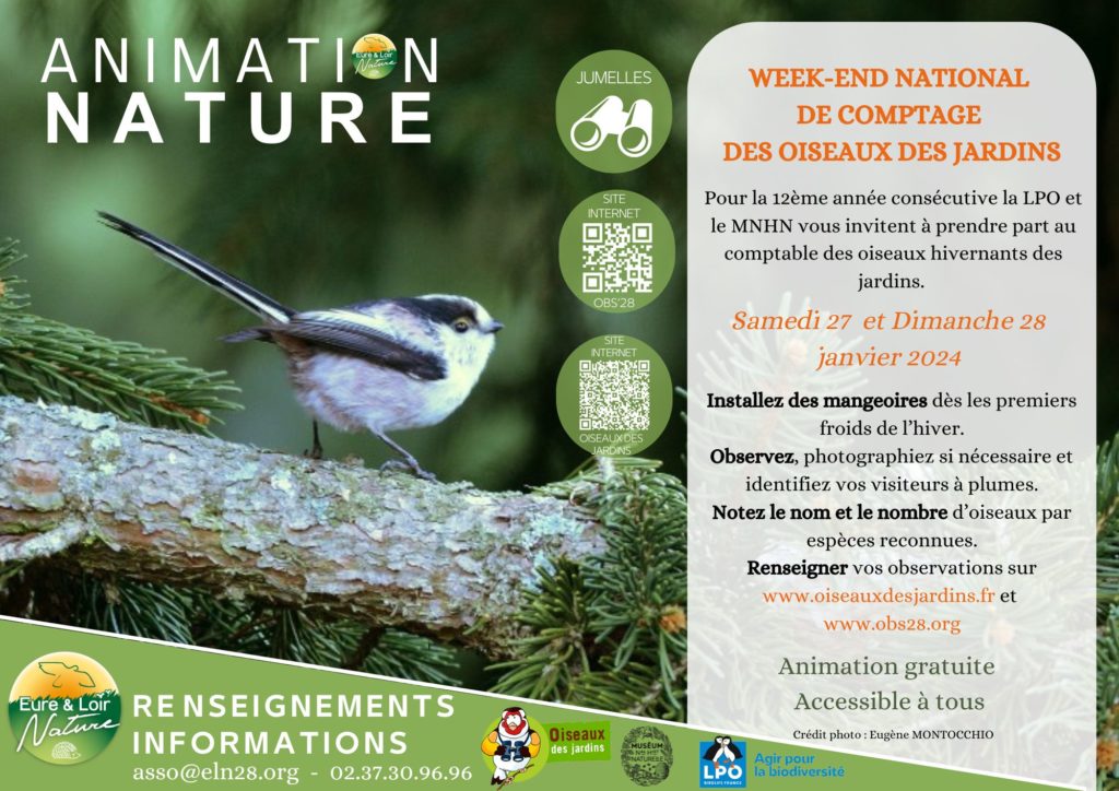 week-end national de comptage des oiseaux des jardins – Eure-et-Loir Nature week-end national de comptage des oiseaux des jardins – Eure-et-Loir Nature